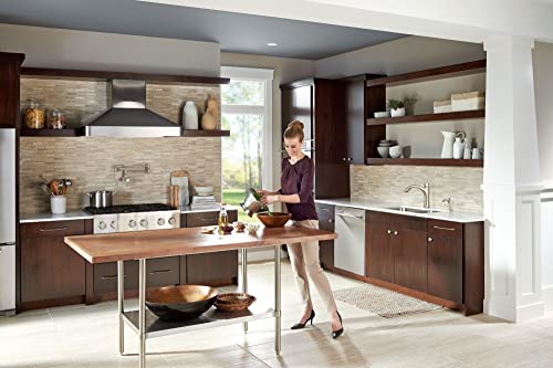 Moen Modern Spot Resist Stainless Wall Mount Swing Arm Folding Pot Filler, Double Jointed Kitchen Faucet, S665SRS