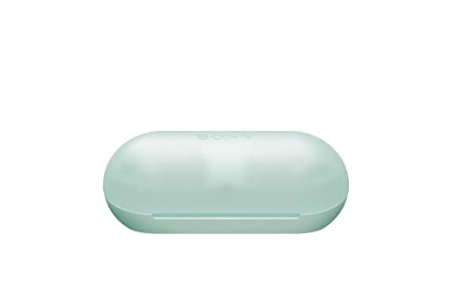 Sony WF-C500 True Wireless Headphones - Up to 20 Hours Battery - Charging case - Voice Assistant Compatible - Built-in mic for Phone Calls - Reliable Bluetooth - Mint Green