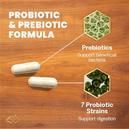 VetriScience Extra Strength Gut Health Easy-Open Capsules, Probiotic & Prebiotic Digestive Supplement for Dogs & Cats, Digestion, Gas & Diarrhea, Immune Support, 7.5 Billion CFU Per Capsule, 120 Count