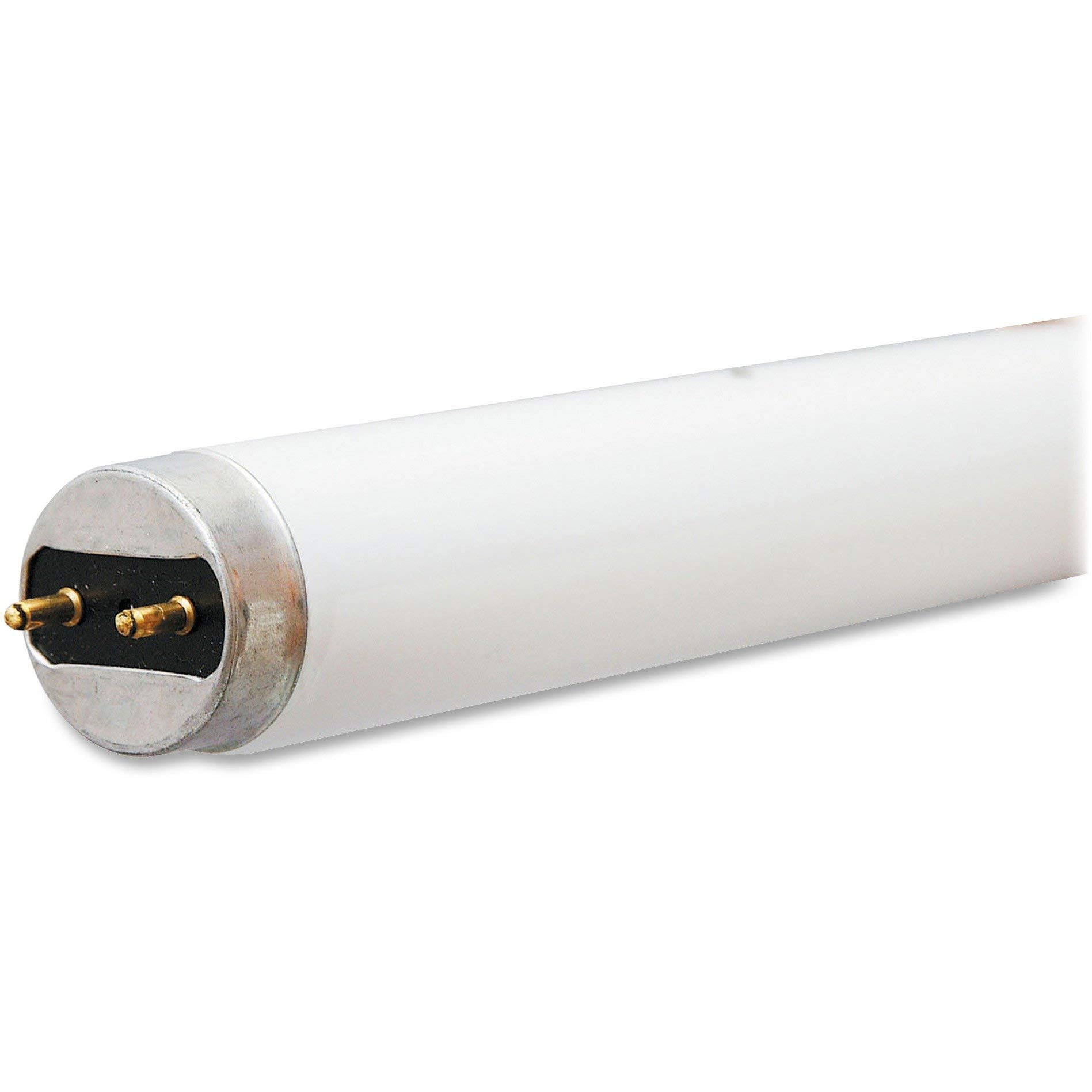 General Electric Company 66349 Fluorescent Tube T8 Linear 48-Inch 32W 2900L 36/CT WE