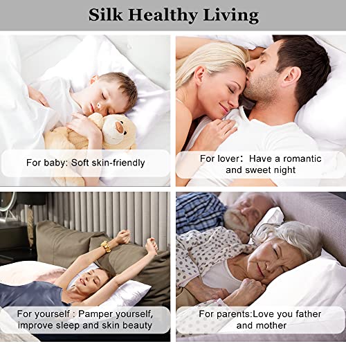 Silk Pillowcase 2 Pack for Hair and Skin, Ravmix Mulberry Silk Pillow Cases Standard Size 20×26inches Set of 2 Cooling Silk Pillow Covers with Hidden Zipper, Pure White