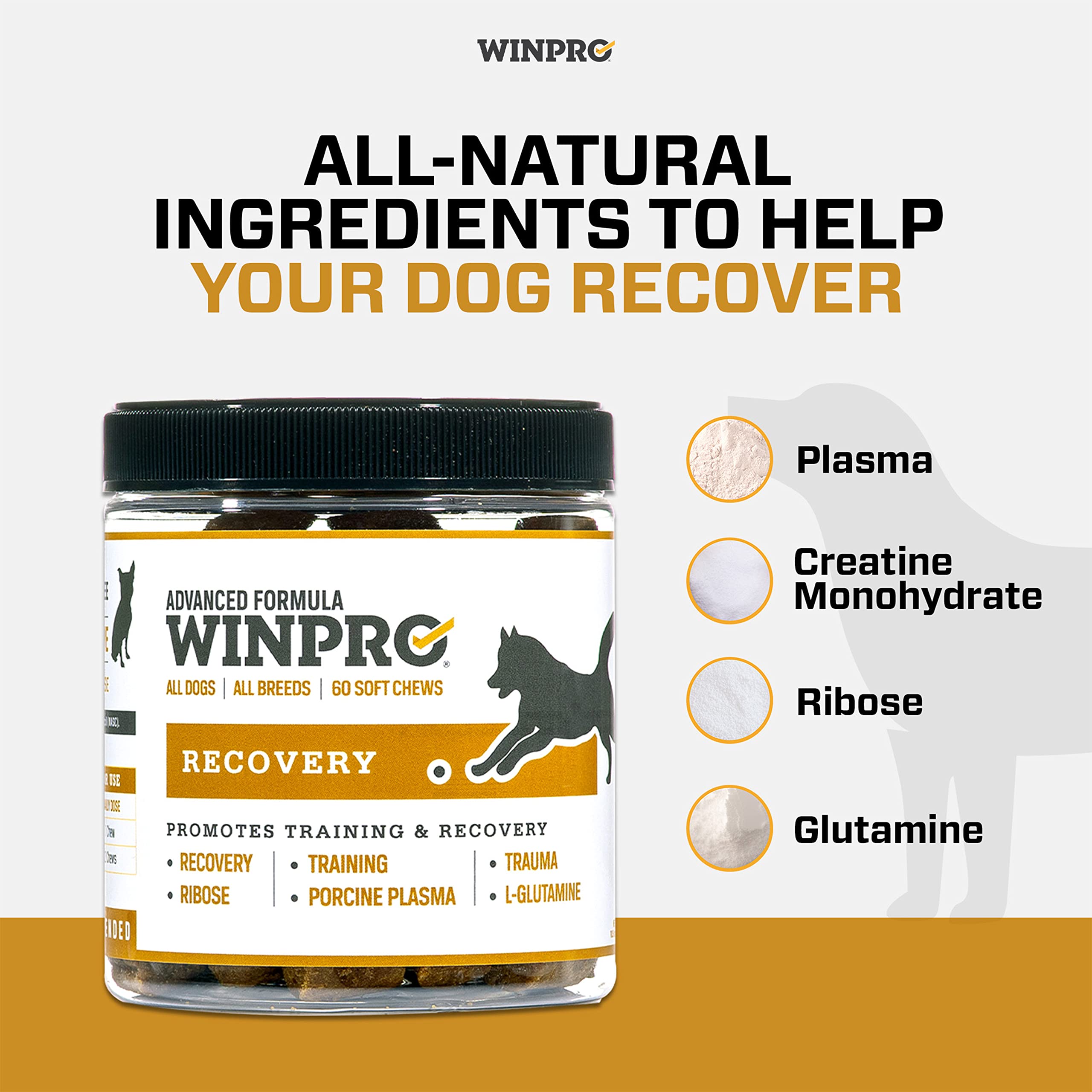 WINPRO Recovery Chews for Dogs, Plasma-Powered for Active Dogs, Immune System Support, and Dog Training Support for Competition and Sport Muscle Recovery and Agility, 60 Count, Made in USA