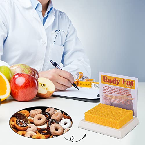SimCoach Human Body Fat Replica 1 Lb, Keep Fit & Weight Loss Motivation & Reminder, Silicone Human Fatty Tissue Demonstration Model for Nutritionist, Athlete
