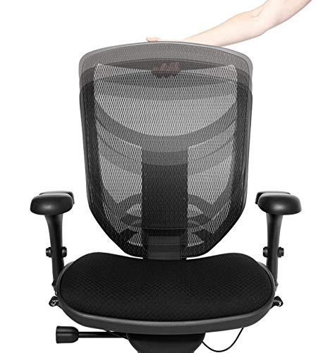 Workpro™ - Chair - Quantum 9000 Series Mid-Back Mesh/fabric Chair Black/olive - 43-3/4" H x 29-1/2" W x 28" D - 28" x 29