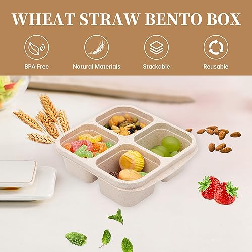 rngwaper 5 Pack Bento Lunch Box,4 Compartment Snack Containers,Divided Bento Snack Box,Meal Prep, Lunch Box Kids/Toddle/Adults,Food Storage Containers for School, Work and Travel (Multicolor-1)