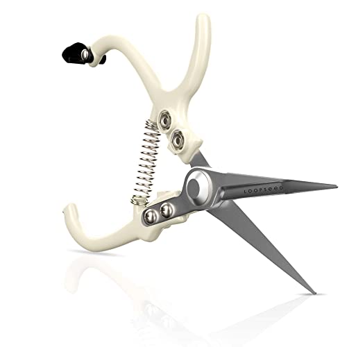 LOOPSEED Plant Pruning Shears Garden Trimming Scissors Precision Hand Pruner Herb Snips Flower Clippers Bonsai Trimmers Straight Sharp Blade Tapered Tip Ergonomic Handle Garden Tools (Classic Cream)