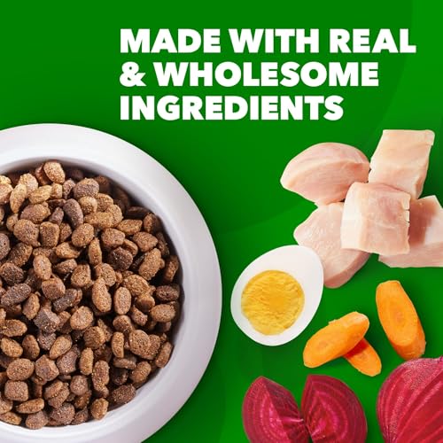 REUSSIR Proactive Health Mini Chunks Dry Dog Food with Real Chicken and Whole Grains, 30 Lb. Bag 100% Complete and Balanced Meal That Supports Growth