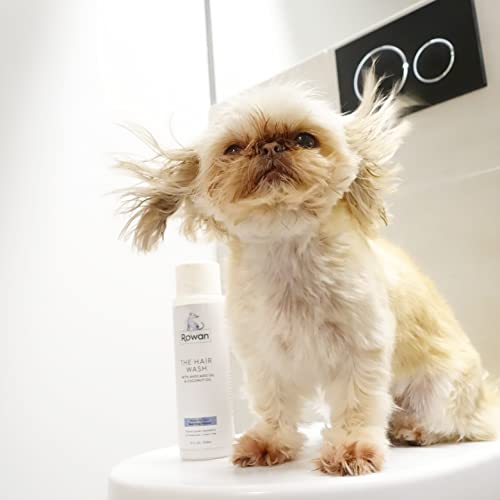 ROWAN - Natural Hair Wash | Clean, Non-Toxic Coat Care for Dogs (12 fl oz | 355 mL)