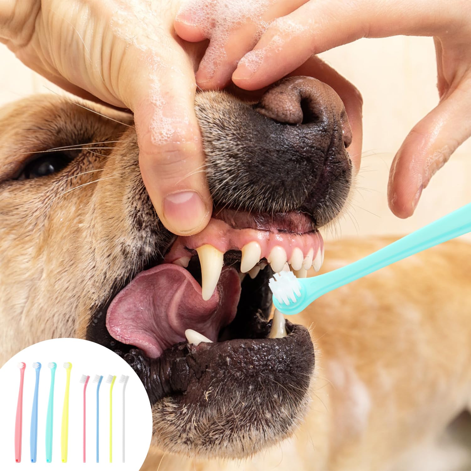 XIHIRCD 8pcs Dog Toothbrush, 2 Styles Soft Bristle Small Cat Toothbrush Micro Head Kitten Teeth Cleaning Brush Dental Care Supplies for Tiny Puppy Kitty Reduce Plaque Tartar Formation & Bad Breath