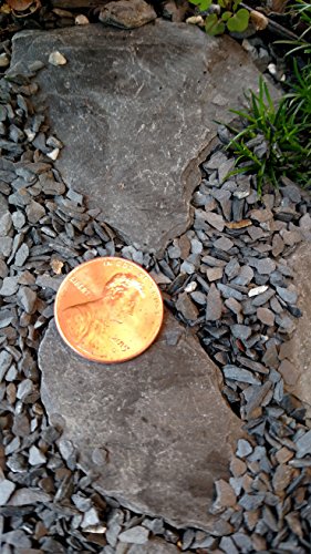 Natural Slate Stone - Less Than 1/8 inch Slate Gravel for Miniature or Fairy Garden, Aquarium, Model Railroad & Wargaming 8oz