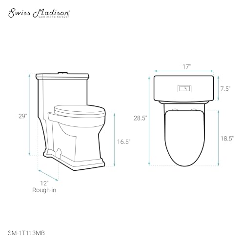 Voltaire One-Piece Elongated Toilet Dual-Flush 1.1/1.6 gpf in Matte Black