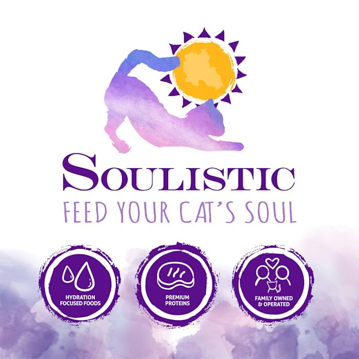 Soulistic Pureed Pumpkin Food Supplement for Cats & Dogs, 1.05 oz., Case of 12, 12 X 1.05 OZ
