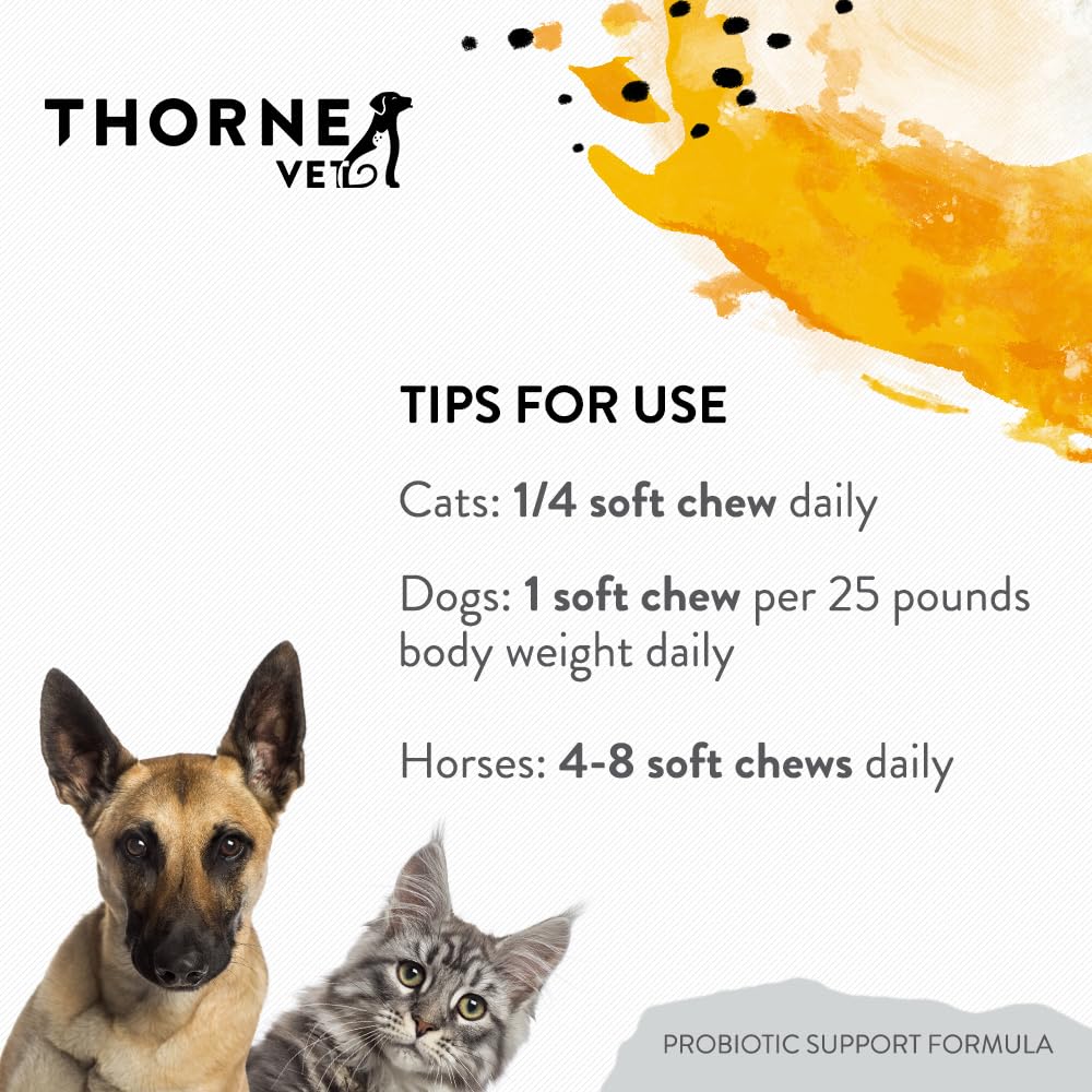 ThorneVET Probiotic Support Formula β Gastrointestinal Support for Dogs, Cats & Horses 60 Soft Chews