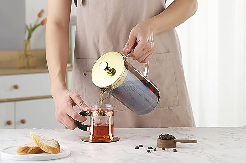 SIXAQUAE French press Coffee Maker Heat Resistant Durable Borosilicate golden Glass 12oz