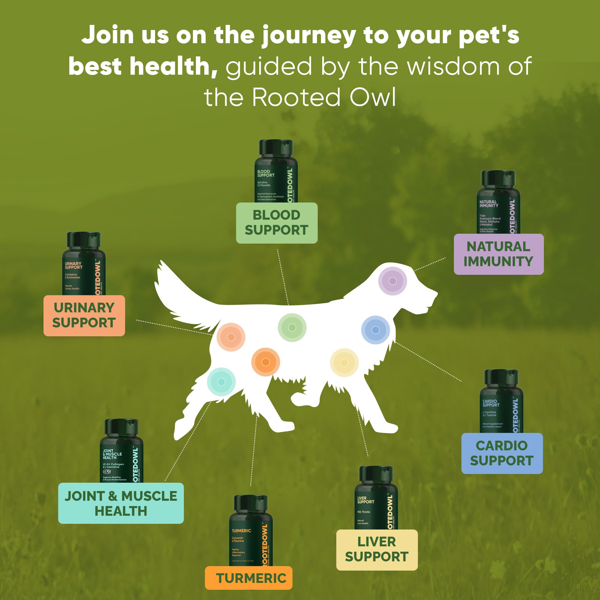 Rooted Owl Joint and Muscle Health - Hip and Joint Supplement for Dogs with UC-II Type II Collagen and L-Carnitine - Medium and Large Dog Joint Supplement - 30/ct