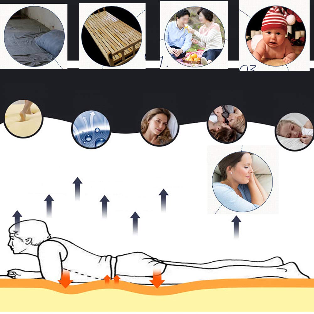 Tatami Tri-fold Mattress, Thick 3e Coconut Palm Mattress Pad Orthopedic Coir Sleeping Mat Firm Feel Quiet Guest Bed Floor Mat-Gold 150x200cm(59x79inch)
