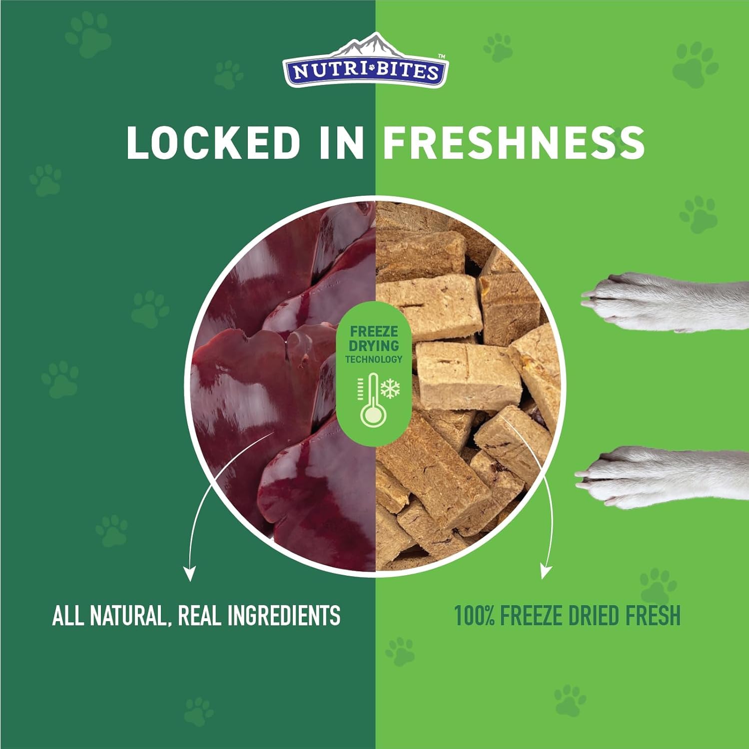 Nutri Bites Freeze Dried Beef Liver Treats for Dogs & Cats, Single Ingredient, No Additives, Perfect for Training, Sensitive Diets, 17.6 oz(Pack of 1)