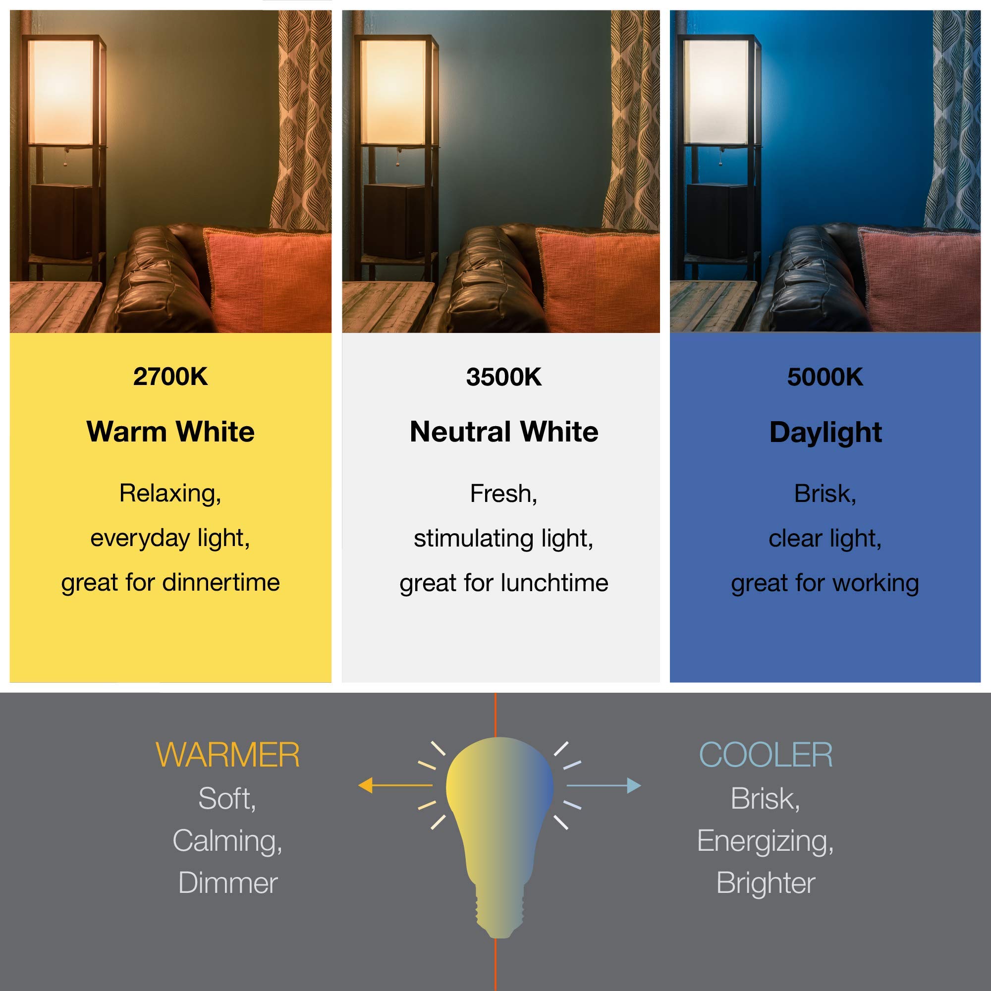 Sylvania LED R20 Flood Light Bulb, 50W = 5W, 10 Year, Dimmable, Frosted Finish, 325 Lumens, 5000K, Daylight - 2 Pack (73991), Cool White