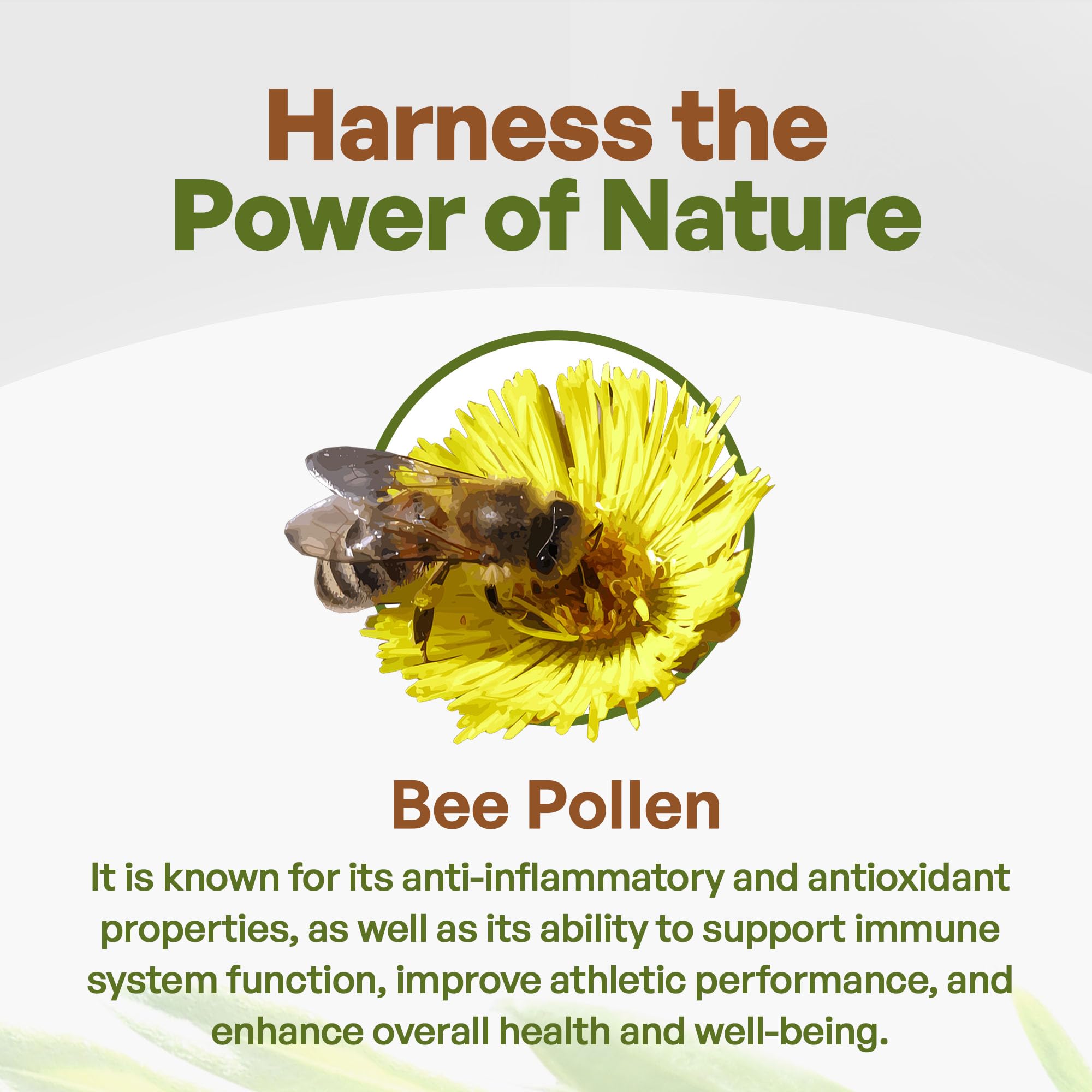 Go Nutra - Bee Pollen Powder, Pure Bee Pollen Powder, Bee Pollen Supplement for Humans, Dogs, Bearded Dragon, and More, Non-GMO, Gluten-Free, Vegan, 8 oz