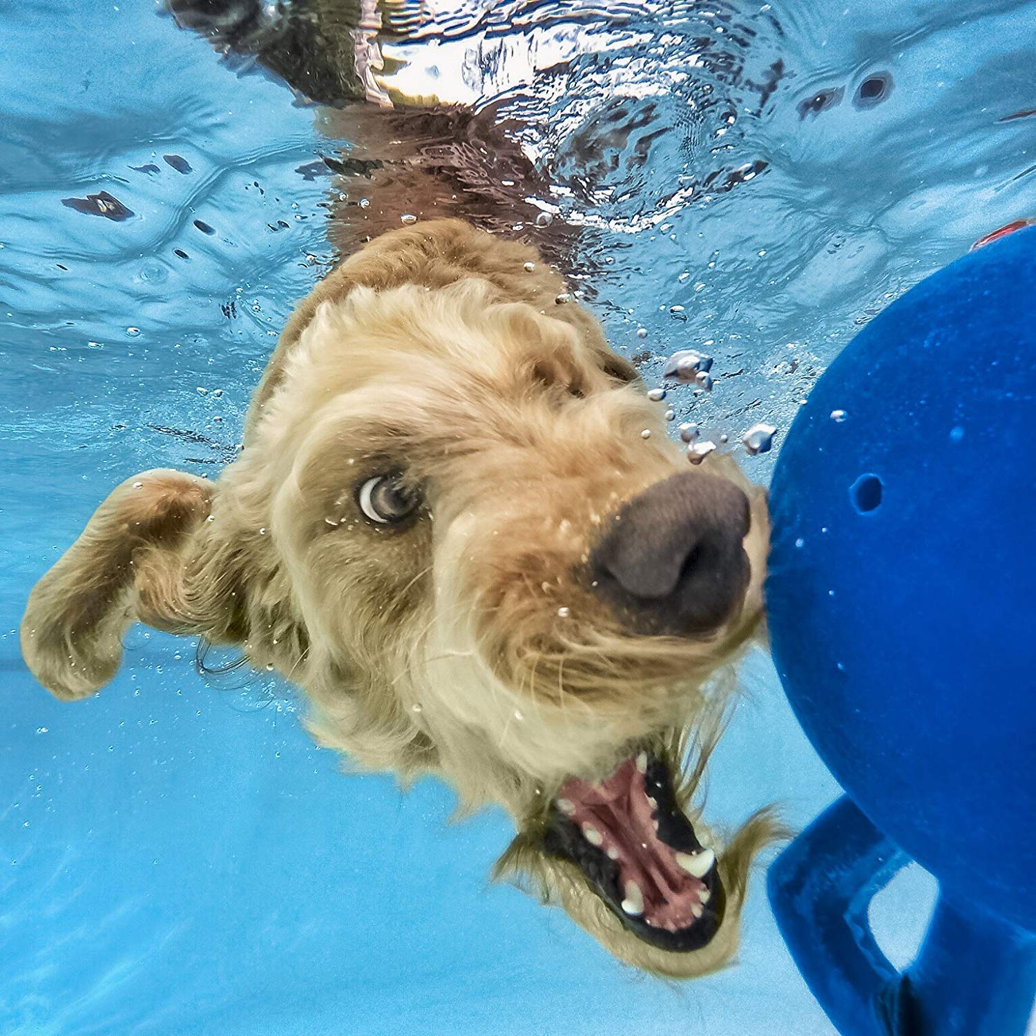 GoPro HERO+ Action Camera (Built-in Wi-Fi and Bluetooth Enabled, 1080p Movie, 8MP Photo, Waterproof to 131β)