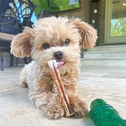 Pawstruck All-Natural 3-5" Bully Sticks for Small Dogs & Puppies β Single Ingredient, Low Odor & Rawhide-Free Dental Chew Treat Bones - 100% Real Beef with No Artificial Preservatives - 8 oz Bag