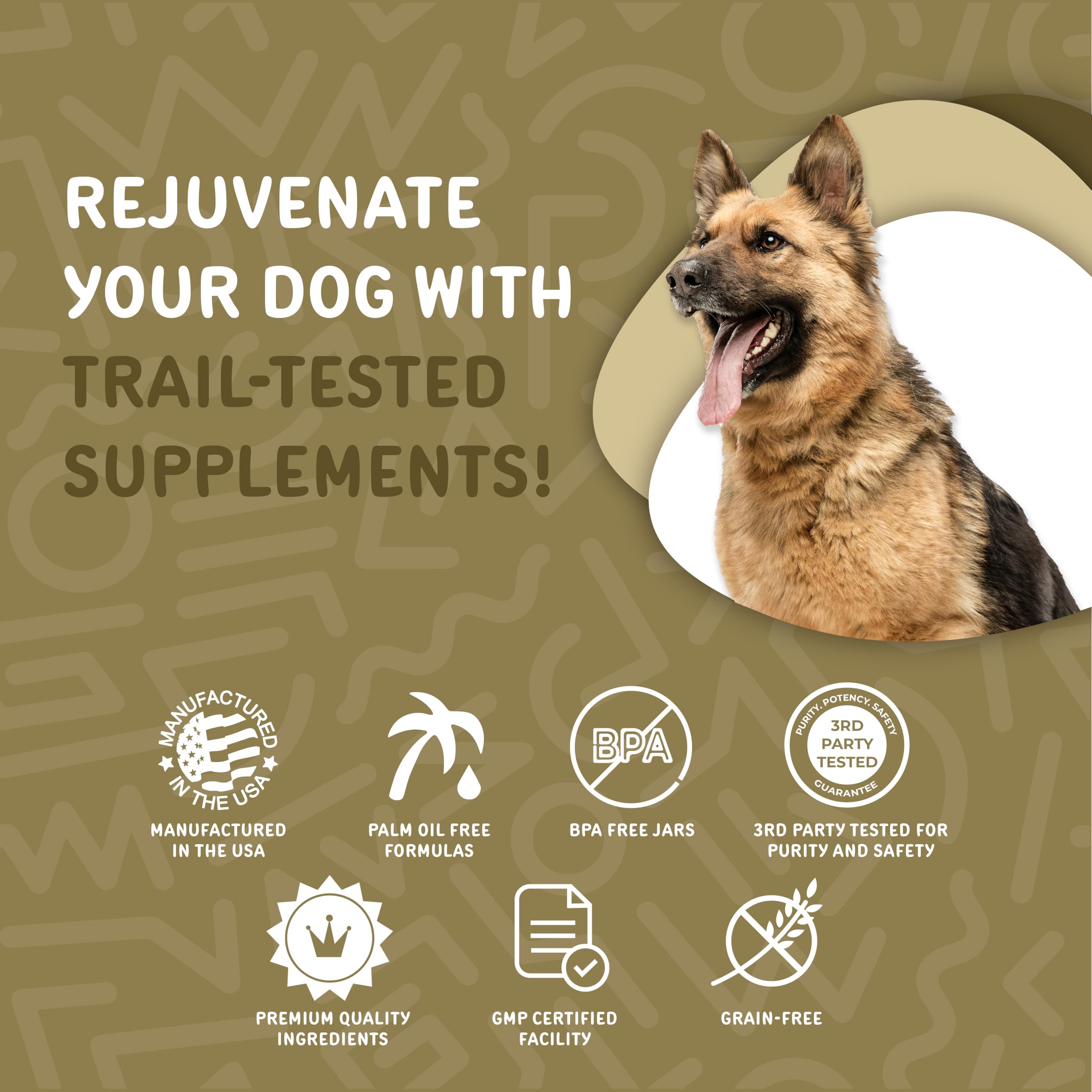 waggedy Daily Essentials Adult Soft Chews — Dog Multivitamin & Immune System Supporter — Dog Nutritional Supplement — Small/Large Dog Supplements & Vitamins (60 Chews)