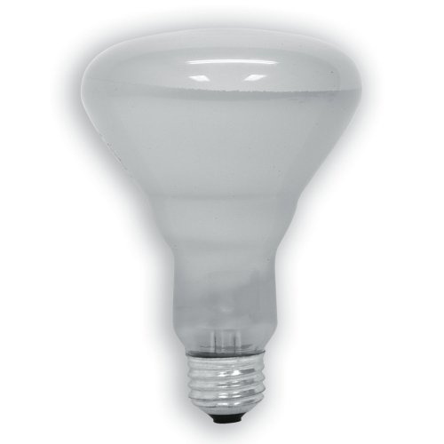 GE 20331-6-6 65 Watt Soft White Floodlight BR30 Light Bulb, 6-Pack