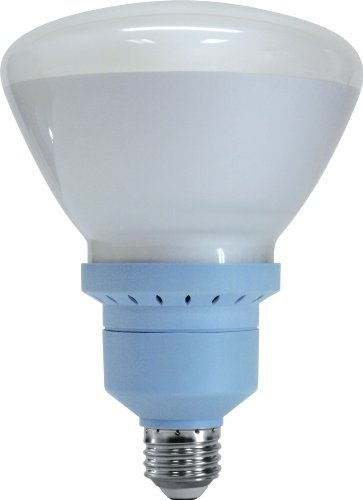 GE 61355 Reveal 26-Watt Indoor Floodlight R40 Compact Fluorescent Bulb