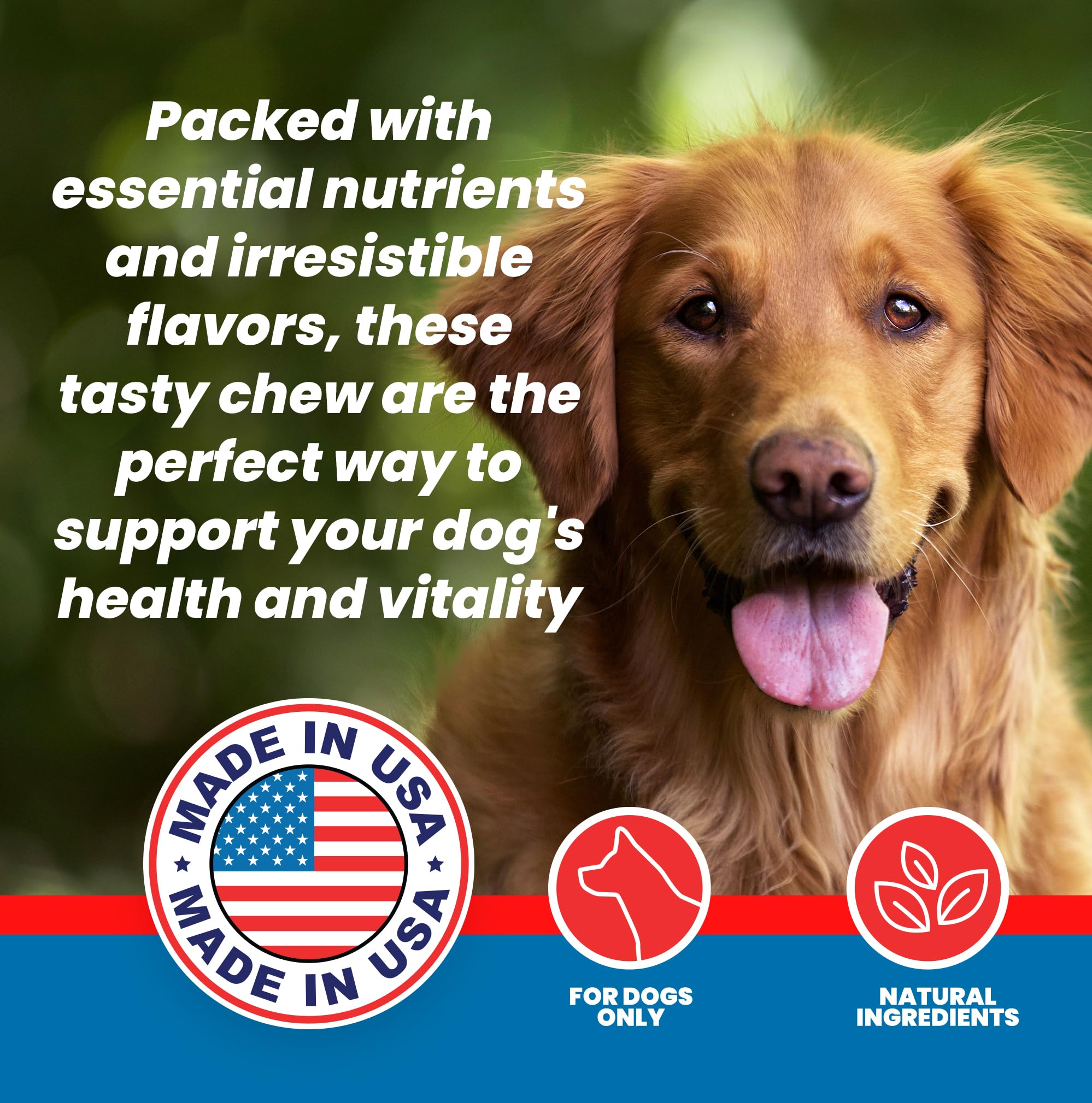 Sparktek Digestive Probiotic Health for Dog Relief Soft Fiber Chews with Pumpkin Psyllum Husk Beet Pulp Developed to Support The Digestive System and Sac Gland Function for Normal Bowel Movement