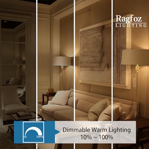 RAGFOZ G8 Halogen Light Bulbs 12 Pcs, 120V 20W G8 Xenon Under Cabinet Lighting Replacements, Dimmable T4 JCD G8 Base Bi-Pin 2700K Warm White