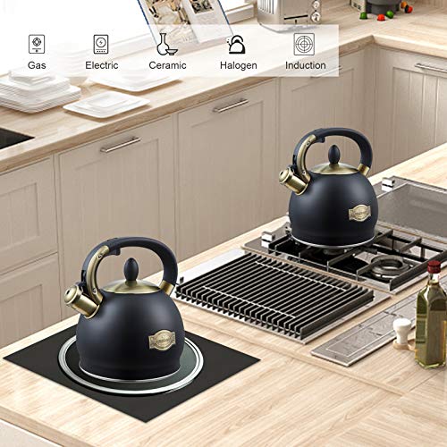Tea Kettle -2.8 Quart Tea Kettles Stovetop Whistling Teapot Stainless Steel Tea Pots for Stove Top Whistle Tea Pot