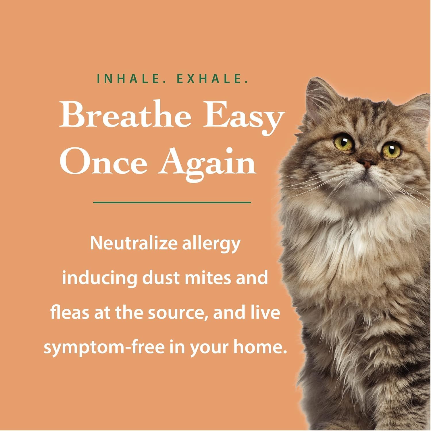 The Ecology Works - Dust Mite and Flea Control Powder (2lb) - Eliminate Dust Mites, Fleas & Reduce Allergies, Gentle Hypoallergenic Formula for Fabric, Furniture, Pet Beds & More