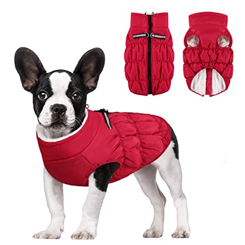 Queenmore Warm Dog Winter Jacket, Fleece Lining Dog Cold Weather Coats, Windproof Turtleneck Dog Vest with Neckline D-Ring, Snowproof Dog Jacket for Small Medium Large Dogs