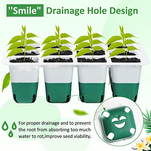 Rarello 3 Packs Seed Starter Tray with Grow Light,Reusable Pop-Out Seed Starter Kit,36 Cells Seedling Starter Trays with Humidity Domes,Indoor Gardening Plant Germination Trays for Seeds Starting