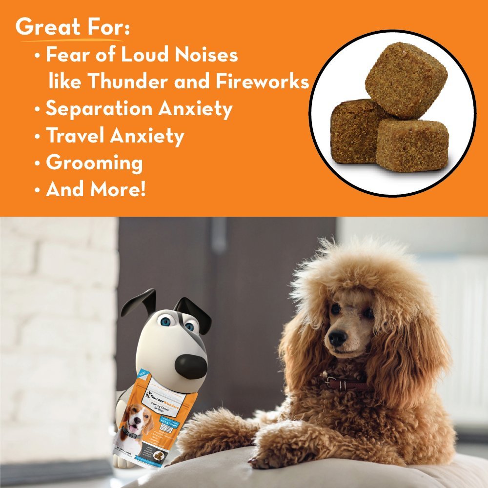 ThunderWunders Dog Calming Chews | Thiamine, L-Tryptophan, Melatonin and Ginger | Can Help Relieve Stress from Separation, Storms, Fireworks & Travel (180 Count)