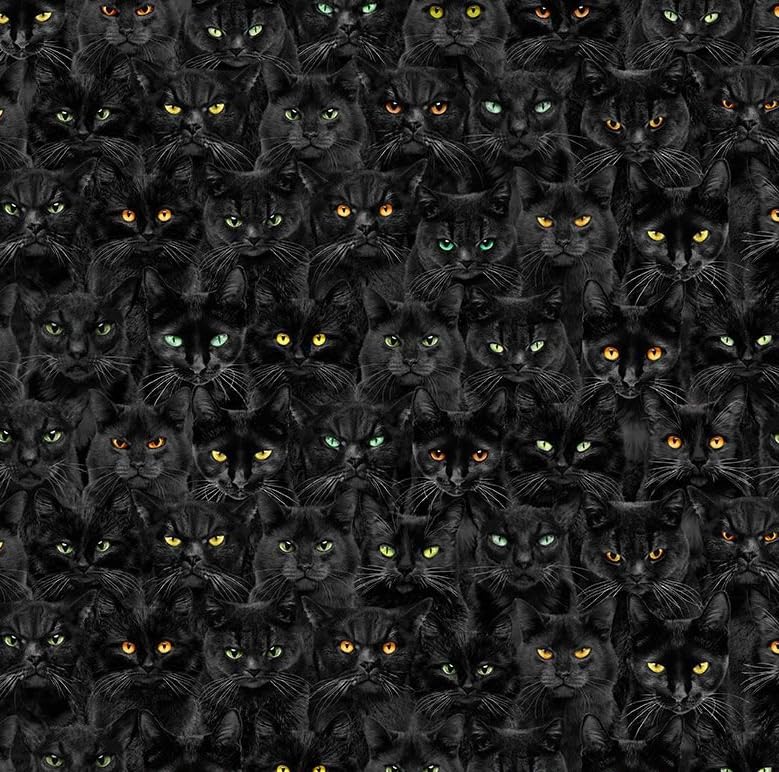 Timeless Treasures Wicked CD1831 Black Cats Magic Fabric