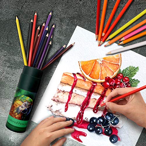 YOOUSOO Colouring Pencils, 24 Pcs Professional Coloured Pencils Drawing Pencils, Oil-based Artist Pencil Set, No Wax, Ideal for Sketching, Doodling, Painting, Writing, Pre-sharpenedâŚ