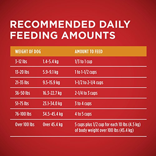 Purina ONE Chicken and Rice Formula Dry Dog Food - (Pack of 4) 4 lb. Bags