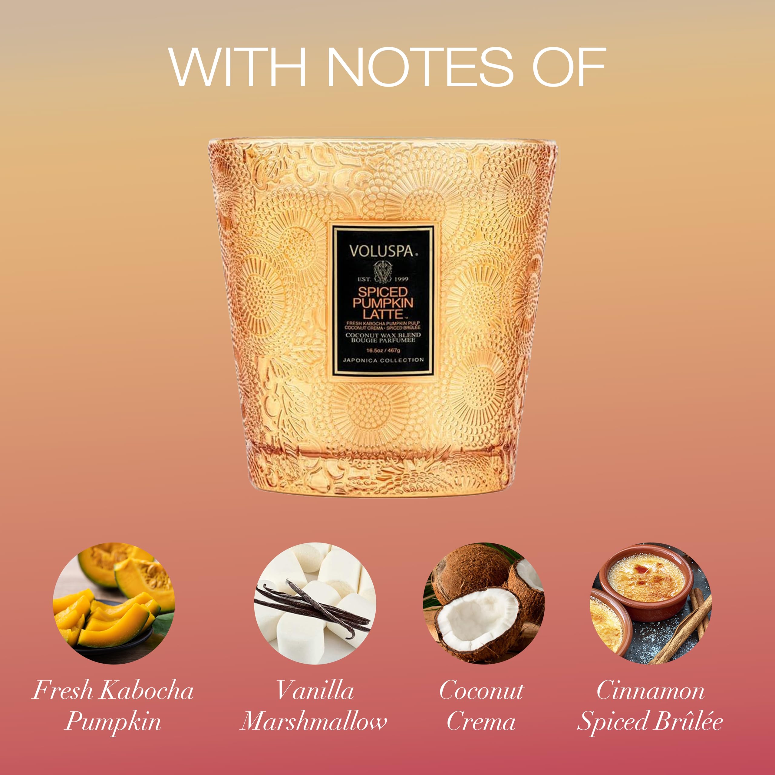 Voluspa Spiced Pumpkin Latte, 2 Wick Boxed Hearth Candle, 16.5 Ounce, 60 Hour Burn Time, All Natural Wicks and Coconut Wax for Clean Burning, Vegan, Poured in The USA