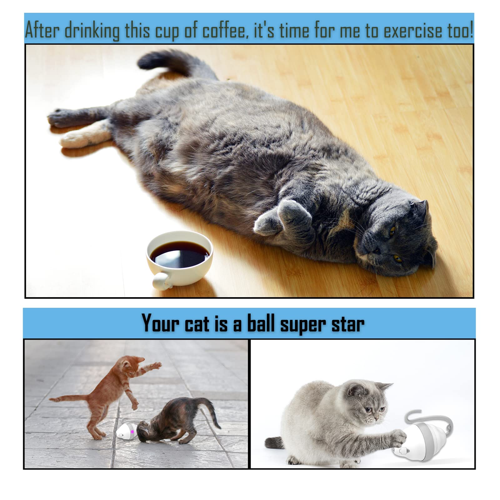 Found Notice Interactive Cat Toy - N in 1 Automatic Moving Ball with LED Lights, Mice Feather Toys for Cats/Puppies, Two Speeds, and USB Rechargeable (Grey)
