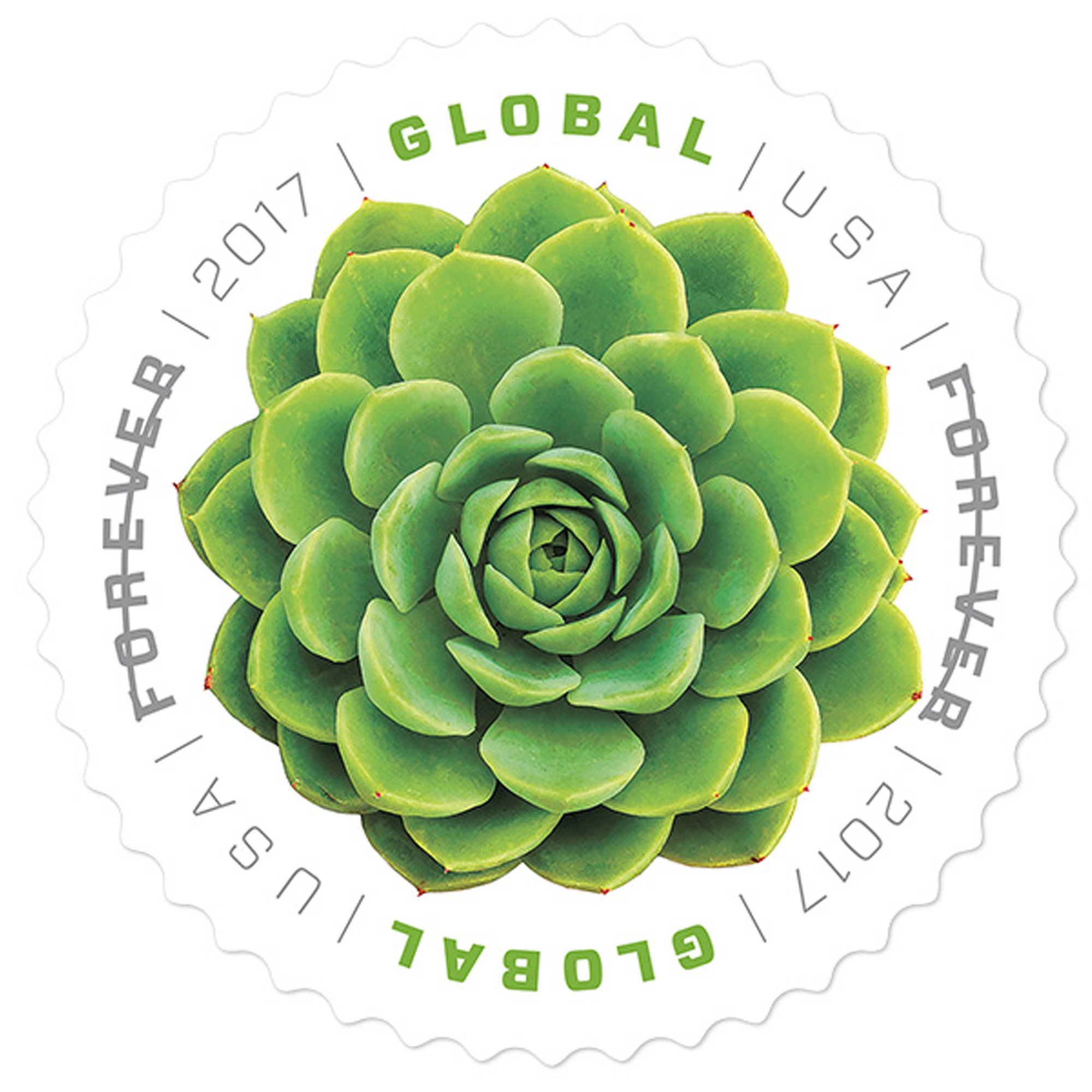 Green Succulent Sheet of 10 Global USPS First Class International Forever Postage Stamps (5)