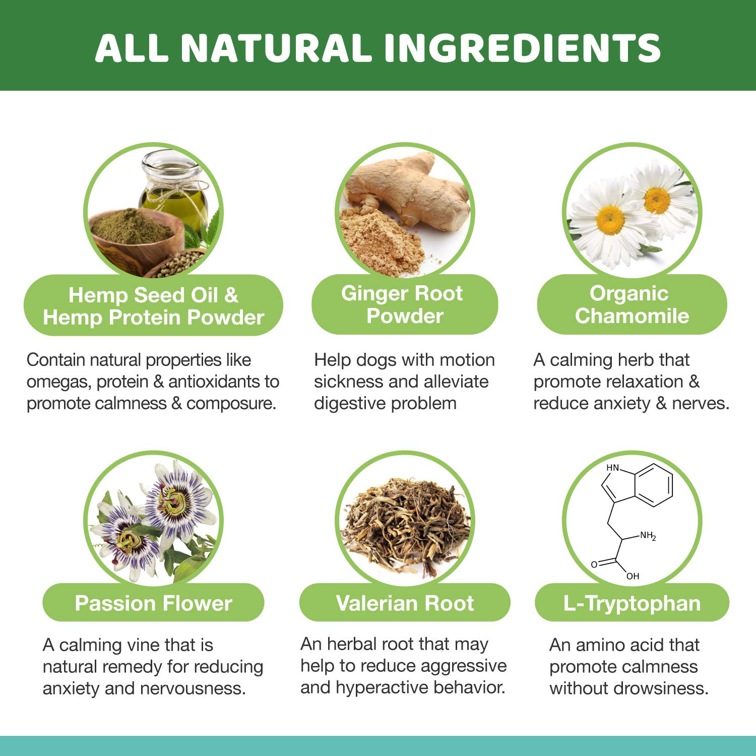 Wellnergy Natural Calming Chews for Dogs β Natural Organic Supplement- for Dogs with Stress, Separation Anxiety and Hyperactivity - 40ct Travel Pk