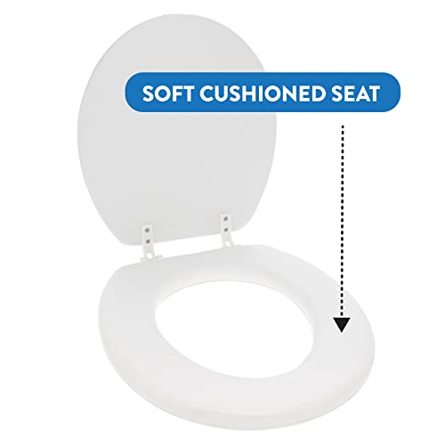 Ginsey Plastic Hinges, Shimmer Butterfly Standard Embroidered Soft Toilet Seat, Medium