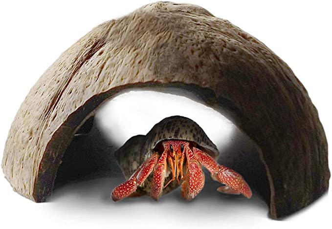 Gluc Hermit Crab Huts, 5x3 Inches, Arthropod's Coconut Hide, Spacious Coco Tunnel, Use as Hermit Cave or Climber, 2-Pcs