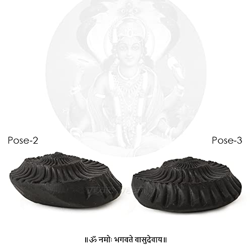 Vedic Vaani Siddh Vishnu Vinayak Divine Sudarshan Shaligram Stone Shila (Pack of 4)