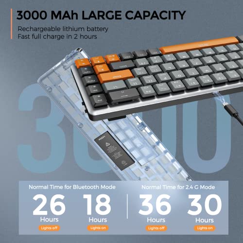 Gaming Keyboard, 65% Low Profile Wireless Mechanical Keyboard with Red Switch, Bluetooth 5.0/2.4G/ Wired RGB Lighting Keyboards for Travel Office PC (EK3000 keyboard-A type)