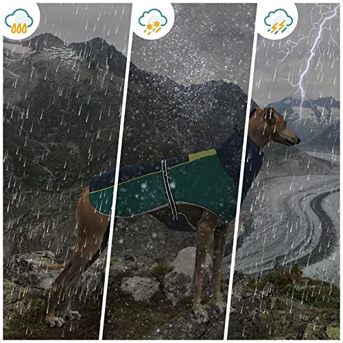 T'CHAQUE Warm Dog Jacket, Cold Weather Coat for Small Medium Large Dogs, Waterproof Reflective Turtleneck Dog Vest, Winter Fleece Dog Outfit with Leash Ring Windproof Adjustable Dog Apparel Clothes