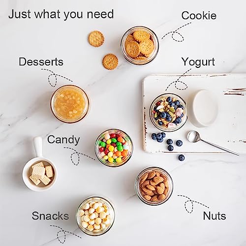 Overnight Oat Jars Containers with Screw Lid Airtight, Salad Dressing,Chia Pudding,Sugar Cane Cubes. Yogurt Storage Containers, Condiment Spice canisters