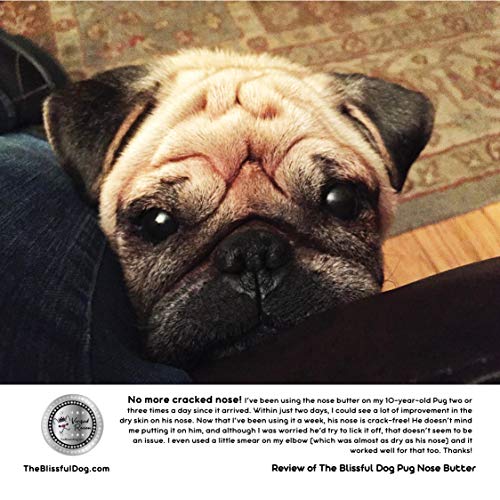 The Blissful Dog Fawn Pug Nose Butter β Dog Nose Butter, 4 Ounce