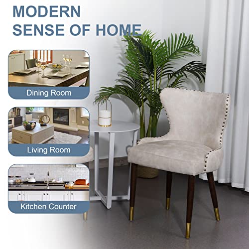 ROIYEIER Modern Dining Chairs Set of 2, Waterproof Wear Resistant Upholstered Dining Chairs with Armrest Soild Legs for Dining Room Living Room, Beige
